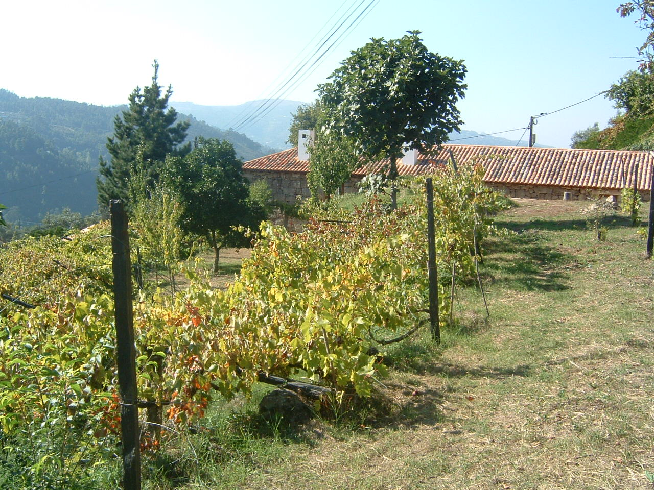 Casa do Lódão - Turismo rural douro